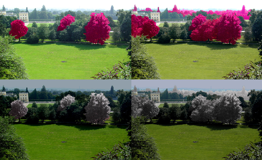 2D Photomontages – Shigeko Hirakawa – 平川滋子